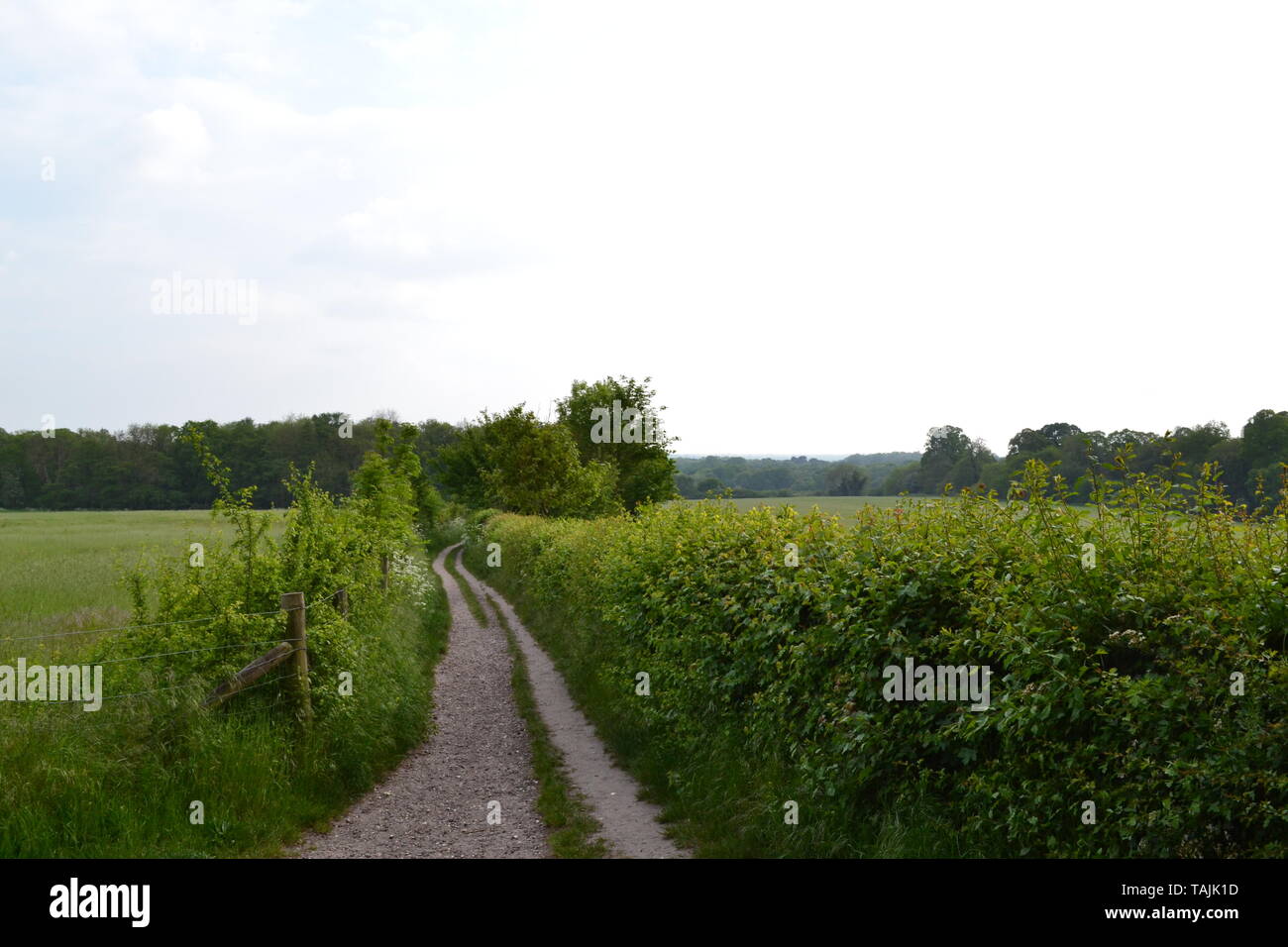 Edlmann memorial wood, Hawkswood Estate, Petts Wood, National Trust ...