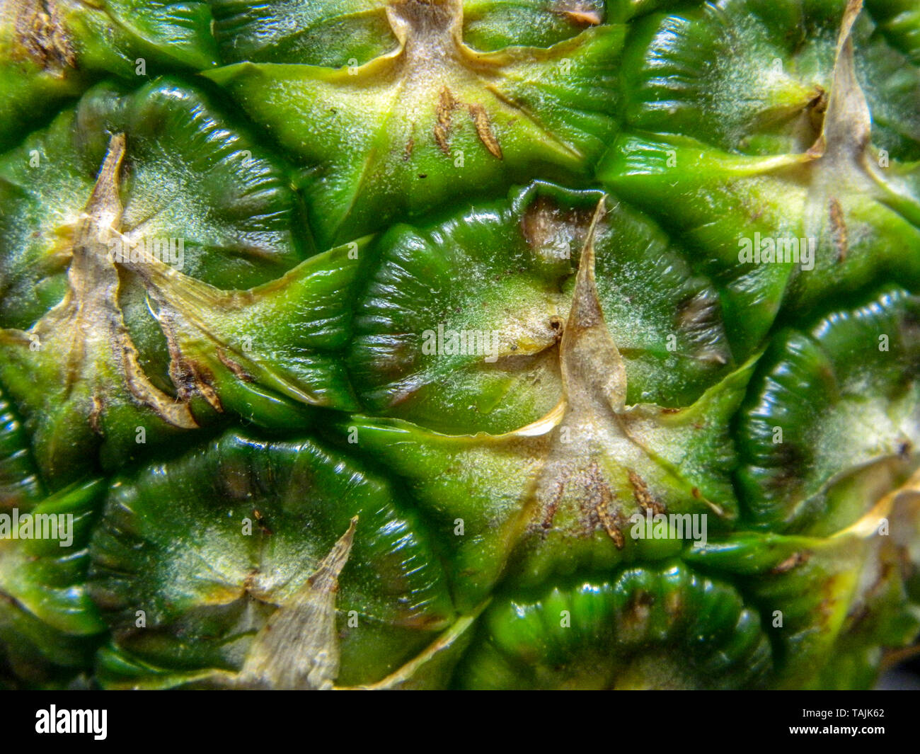 Pineapple skin hi-res stock photography and images - Alamy