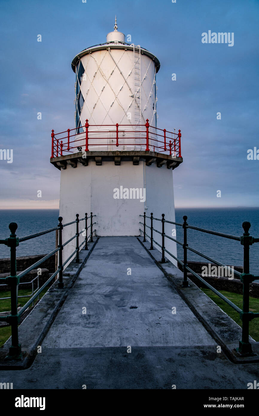 Blackhead Whitehead High Resolution Stock Photography and Images - Alamy