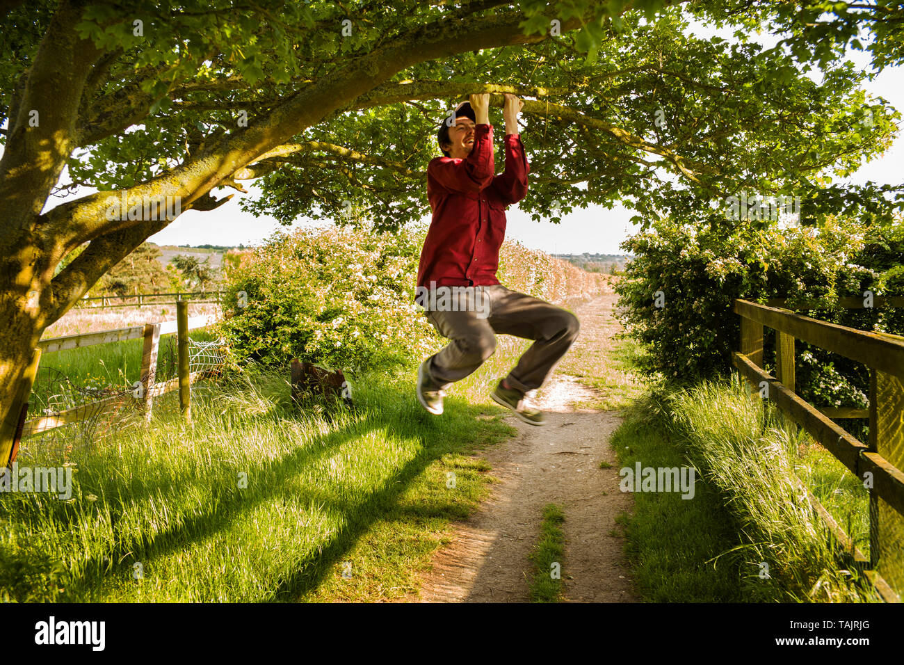 Man climbing tree hi-res stock photography and images - Alamy