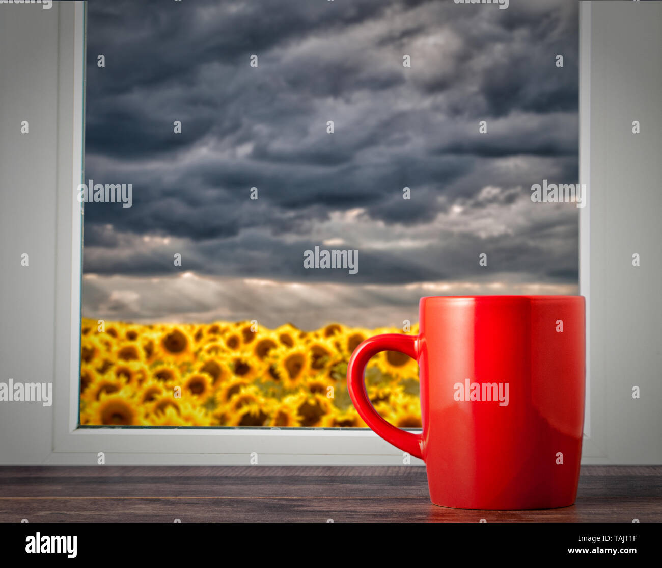 red cup on the table near the window with a beautiful view and scenery ...
