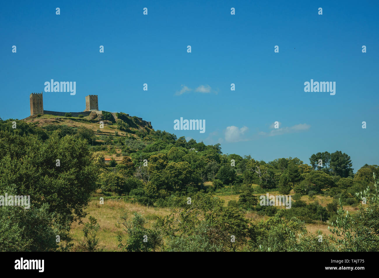 Hilly landscape with trees and rocks and the towers of Linhares da ...