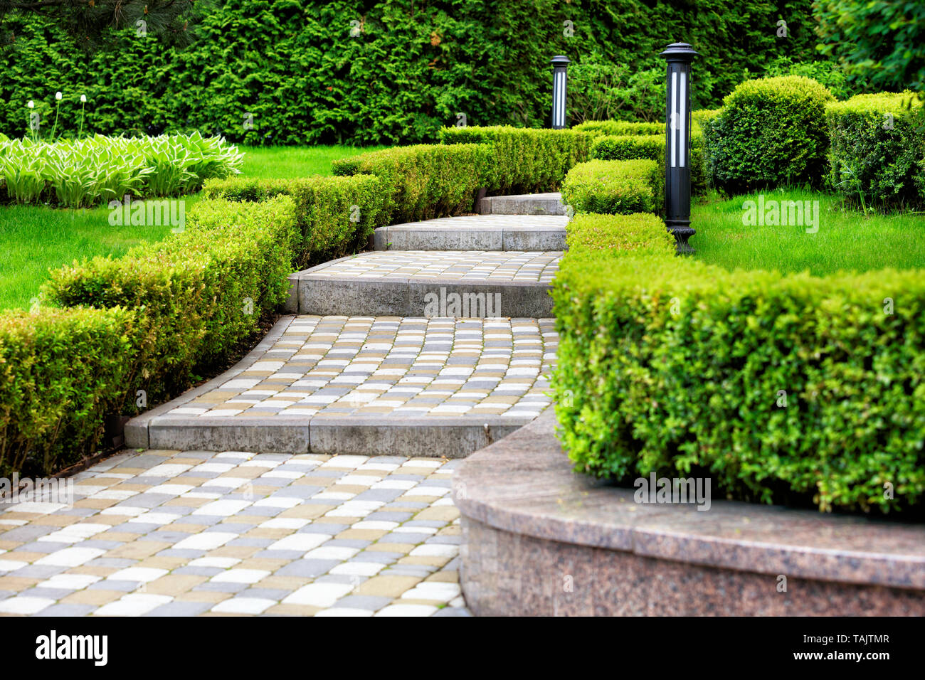 A paved stepped path in a beautiful park passes through a green lawn ...