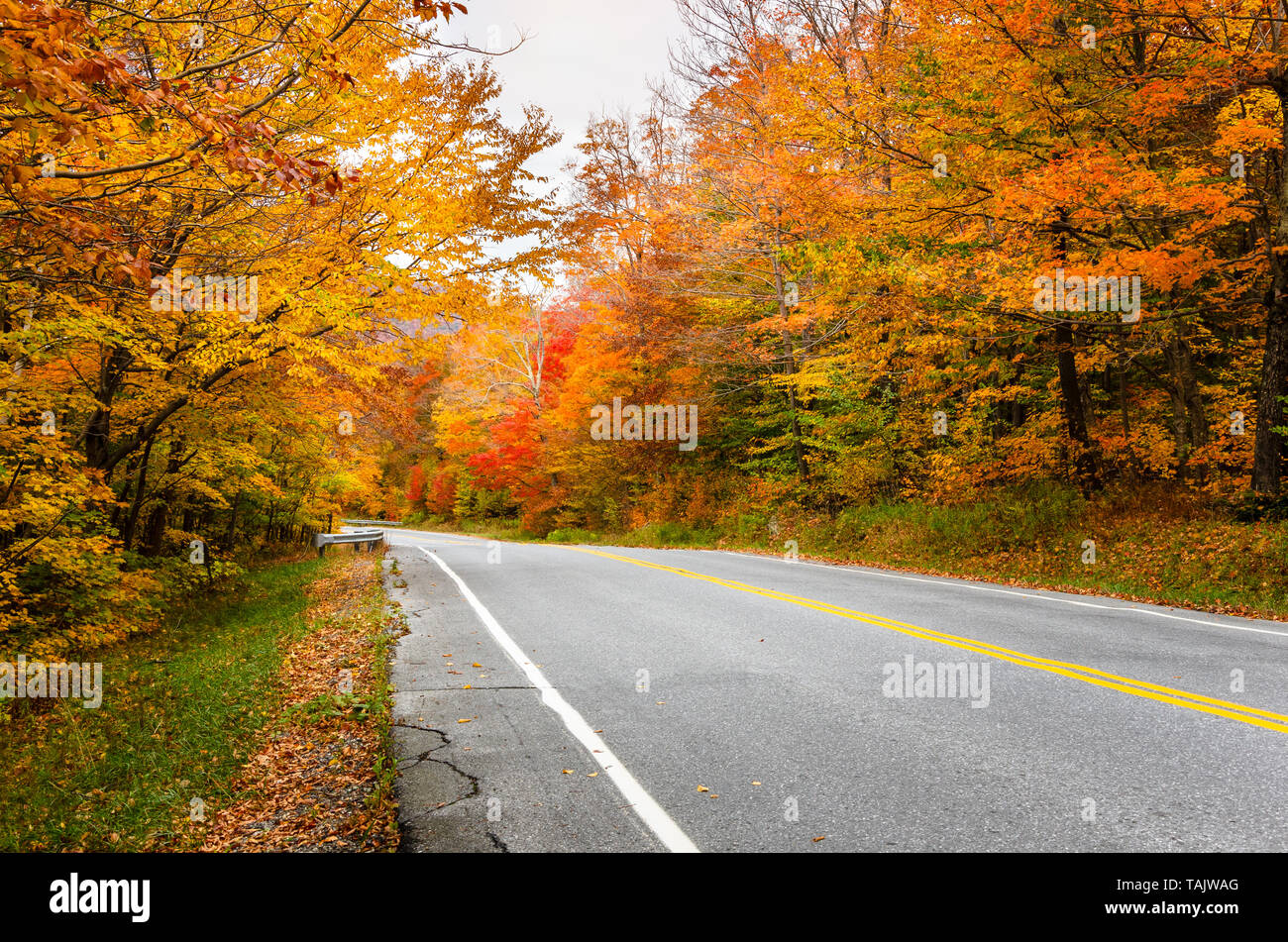 Beautiful Fall Country Scenery