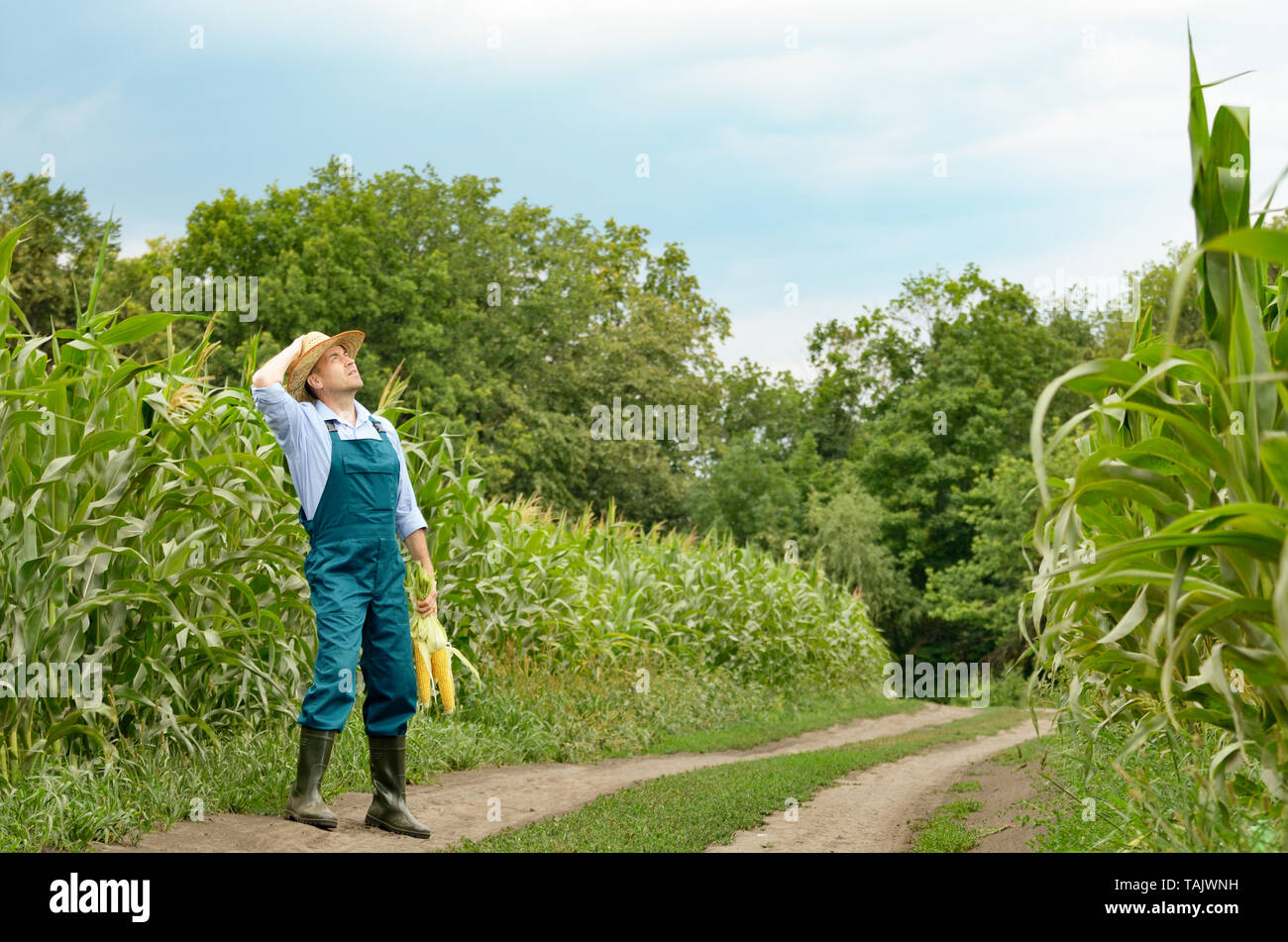 Middle age farmer hi-res stock photography and images - Alamy