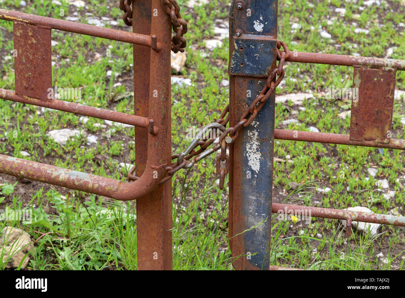 Rusty metal gates tied with metal chain Stock Photo - Alamy
