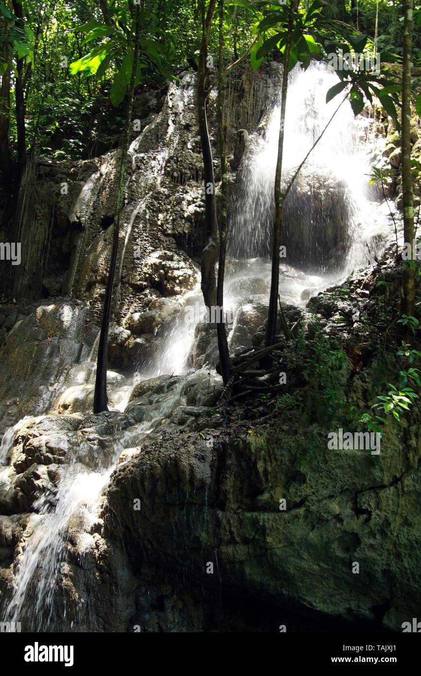 Somerset falls and jamaica hi-res stock photography and images - Alamy