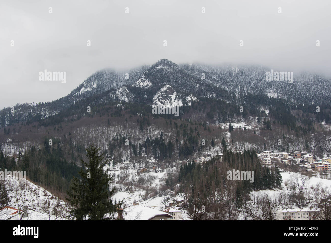 Beautiful nature scenic hi-res stock photography and images - Alamy