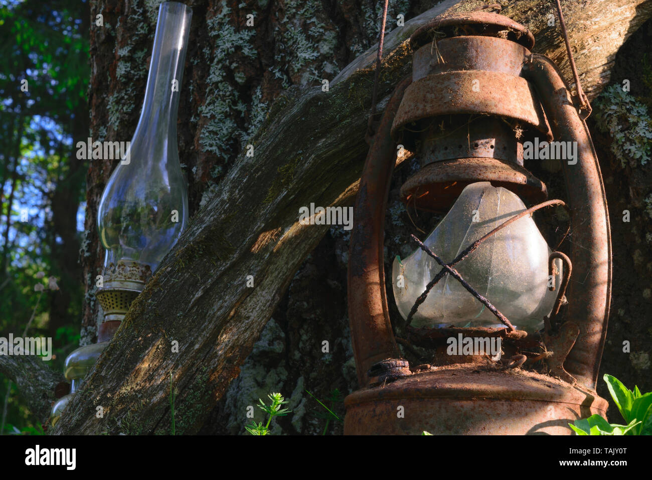 Oil lamp hanging branch hi-res stock photography and images - Alamy