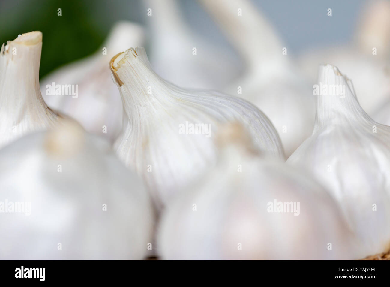 Side view bunch organic hi-res stock photography and images - Alamy