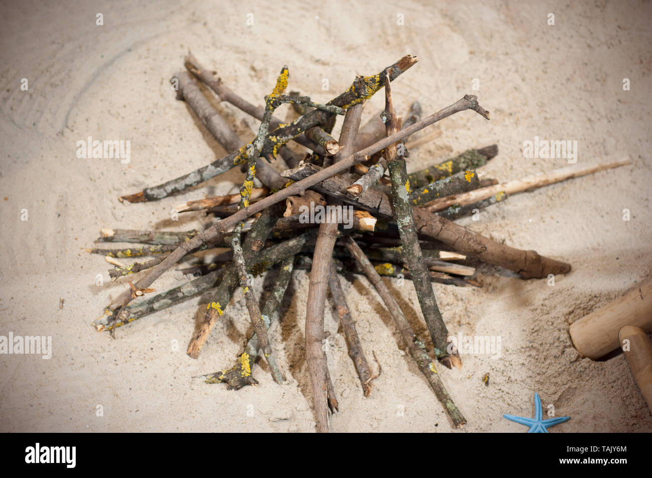 Firewood on the beach. Preparing a campfire on the sand. Kindling ...