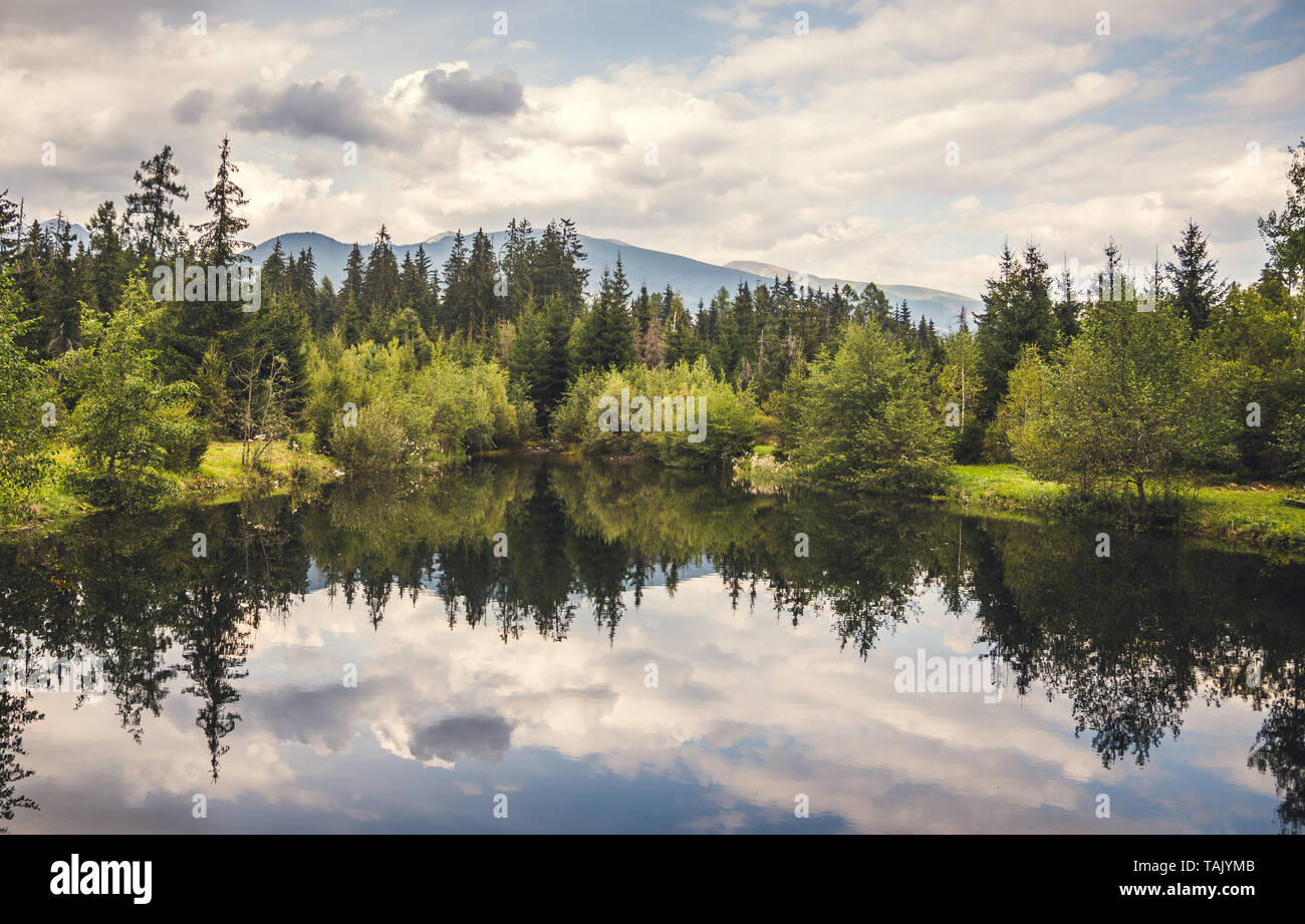 Reflections of trees and clouds hi-res stock photography and images - Alamy