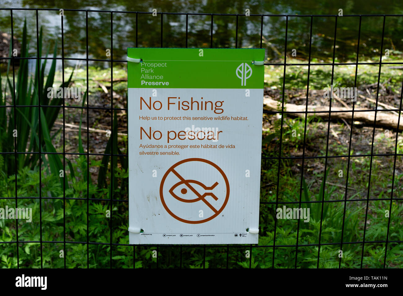 No Fishing sign by the pond in the park Stock Photo - Alamy
