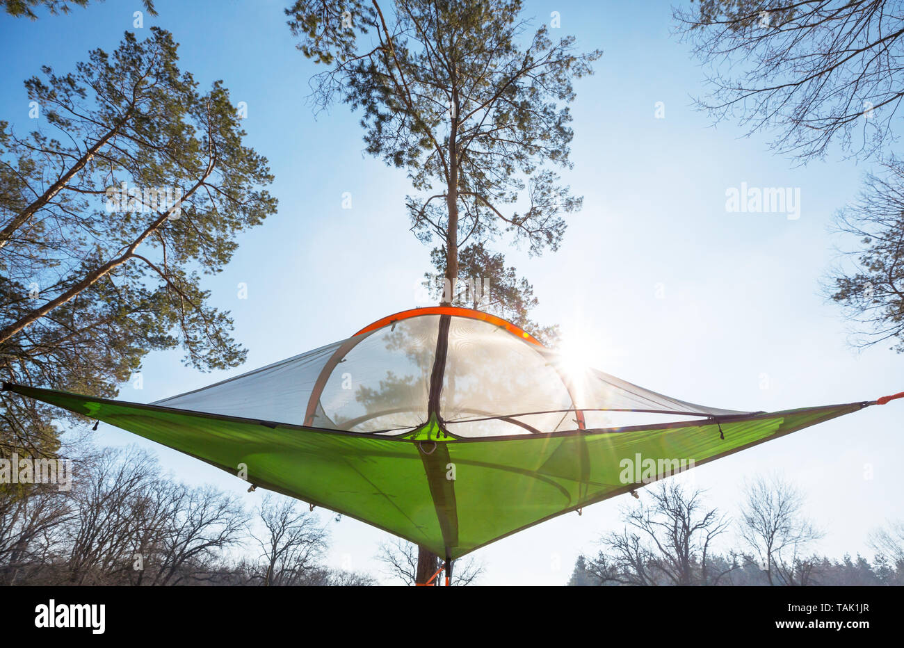 Modern tourist tent hanging between trees in green forest Stock Photo ...
