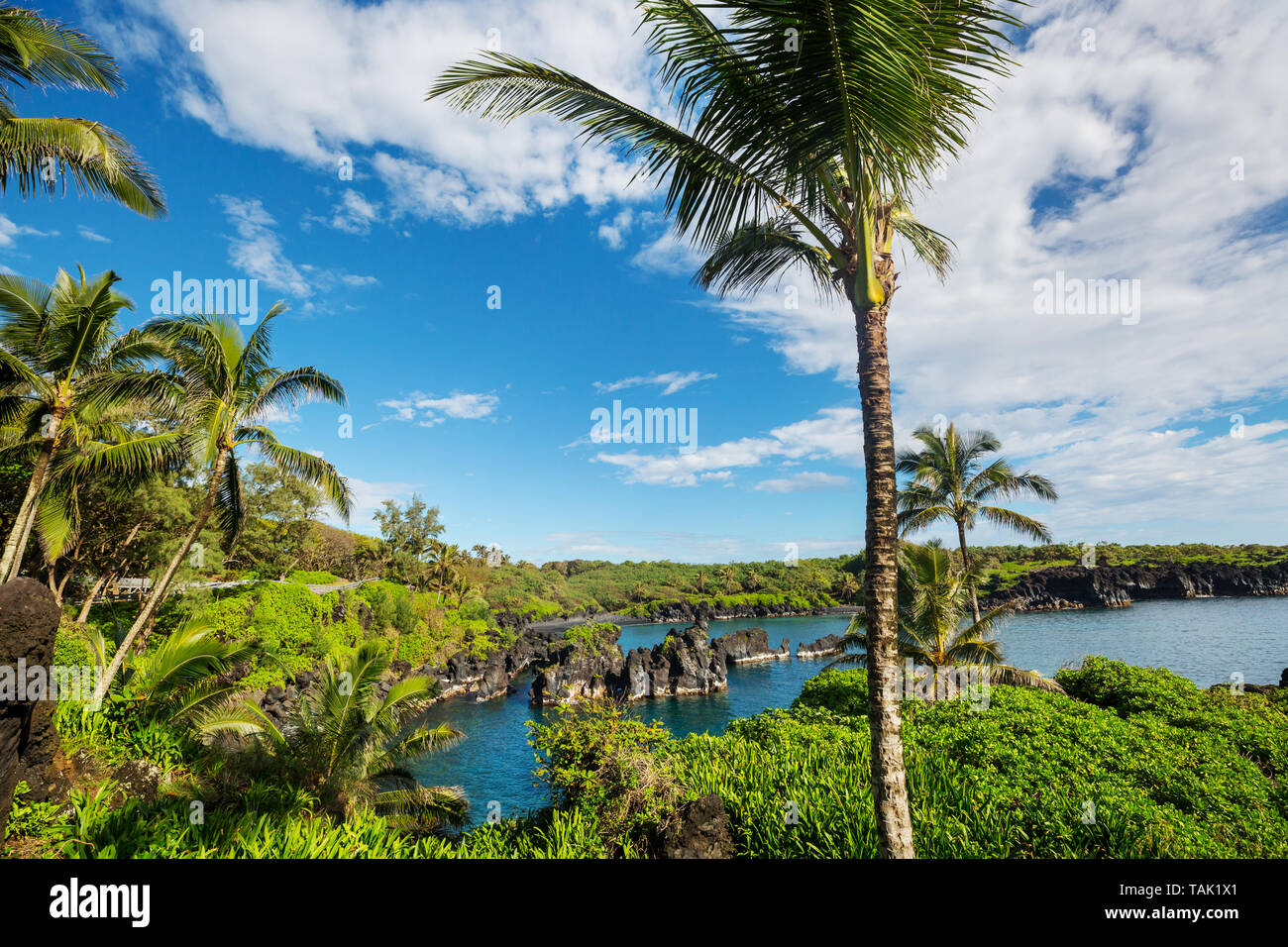 Beautiful tropical landscapes on Maui island, Hawaii Stock Photo - Alamy