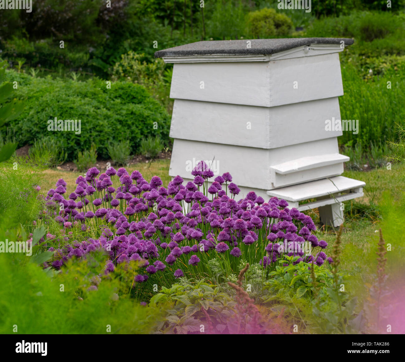 Traditional Beehive High Resolution Stock Photography and Images - Alamy