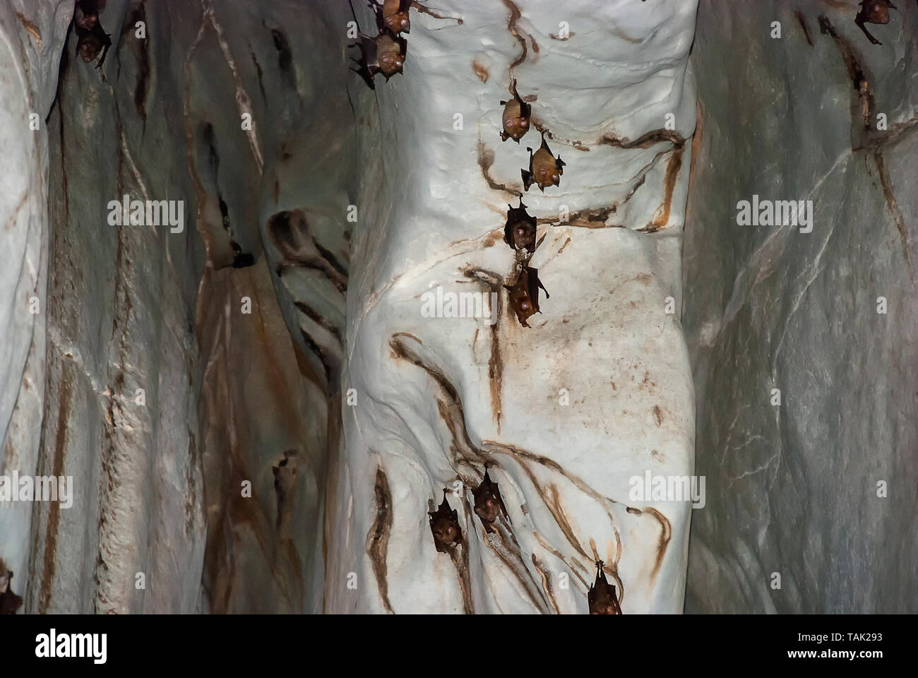 Batcave hi-res stock photography and images - Alamy