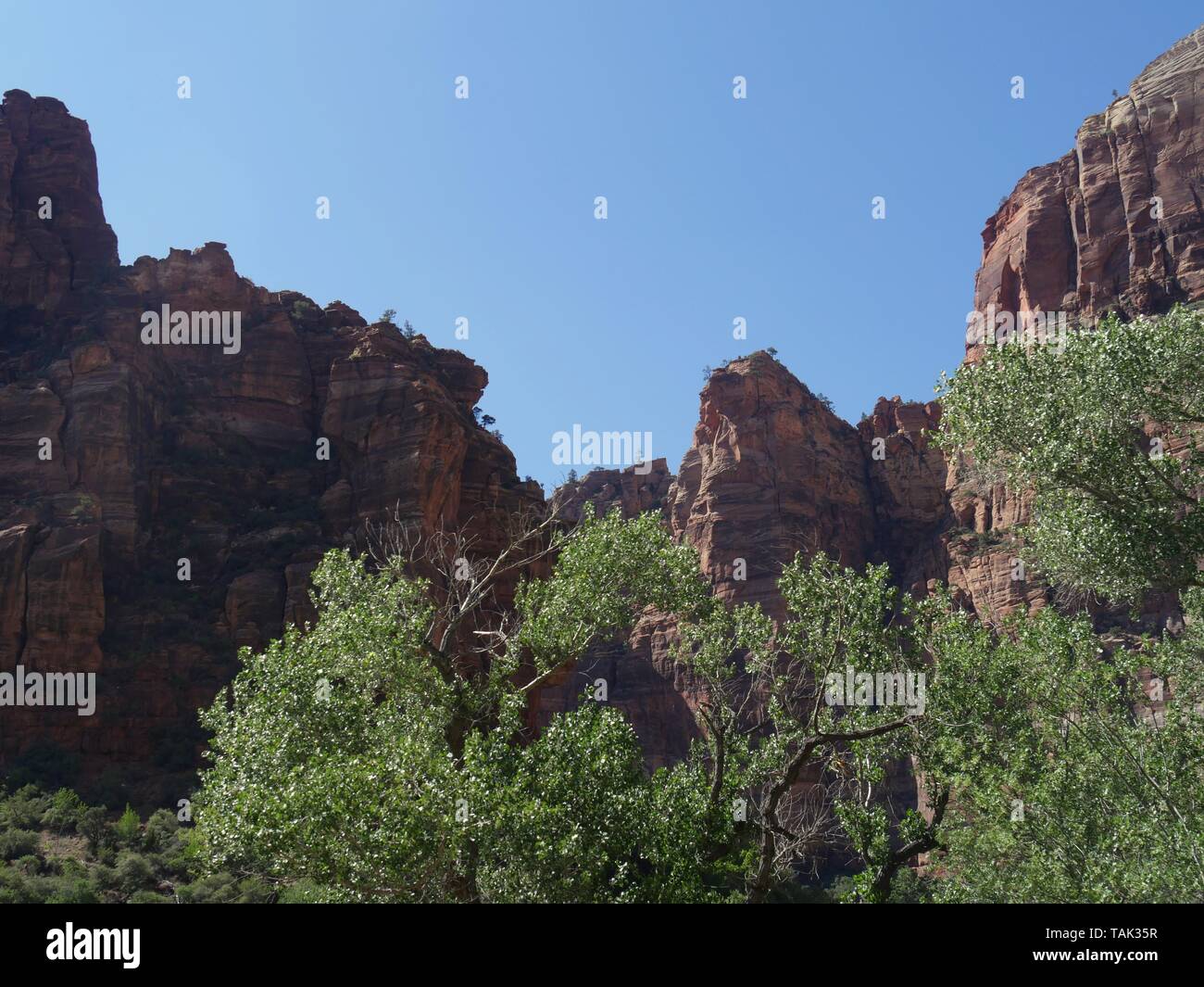 Medium wide upward shot of the peaks of sandstone cliffs of Zion ...