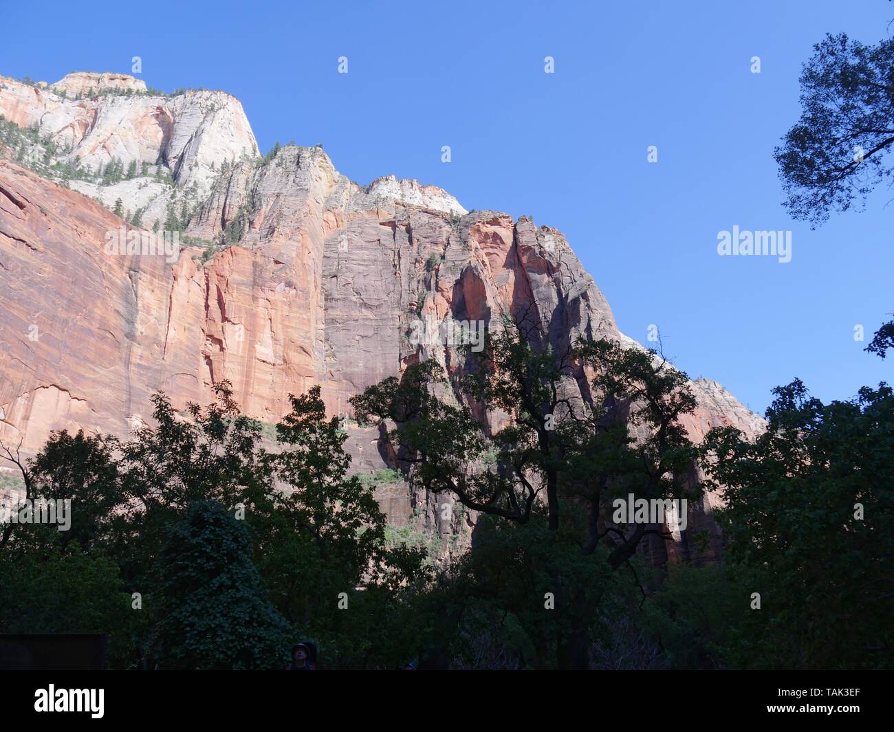 Impressive peaks of red rocky cliffs with the silhouettes of a tree ...