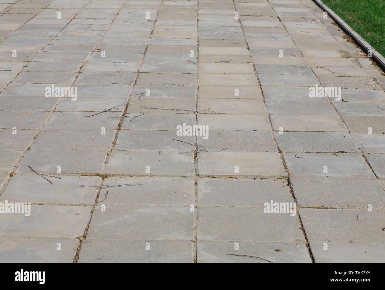block road in park at spring Stock Photo - Alamy