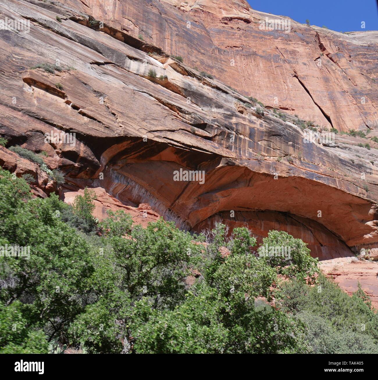 Close up of a cave-like formation along the ridges and walls of steep ...