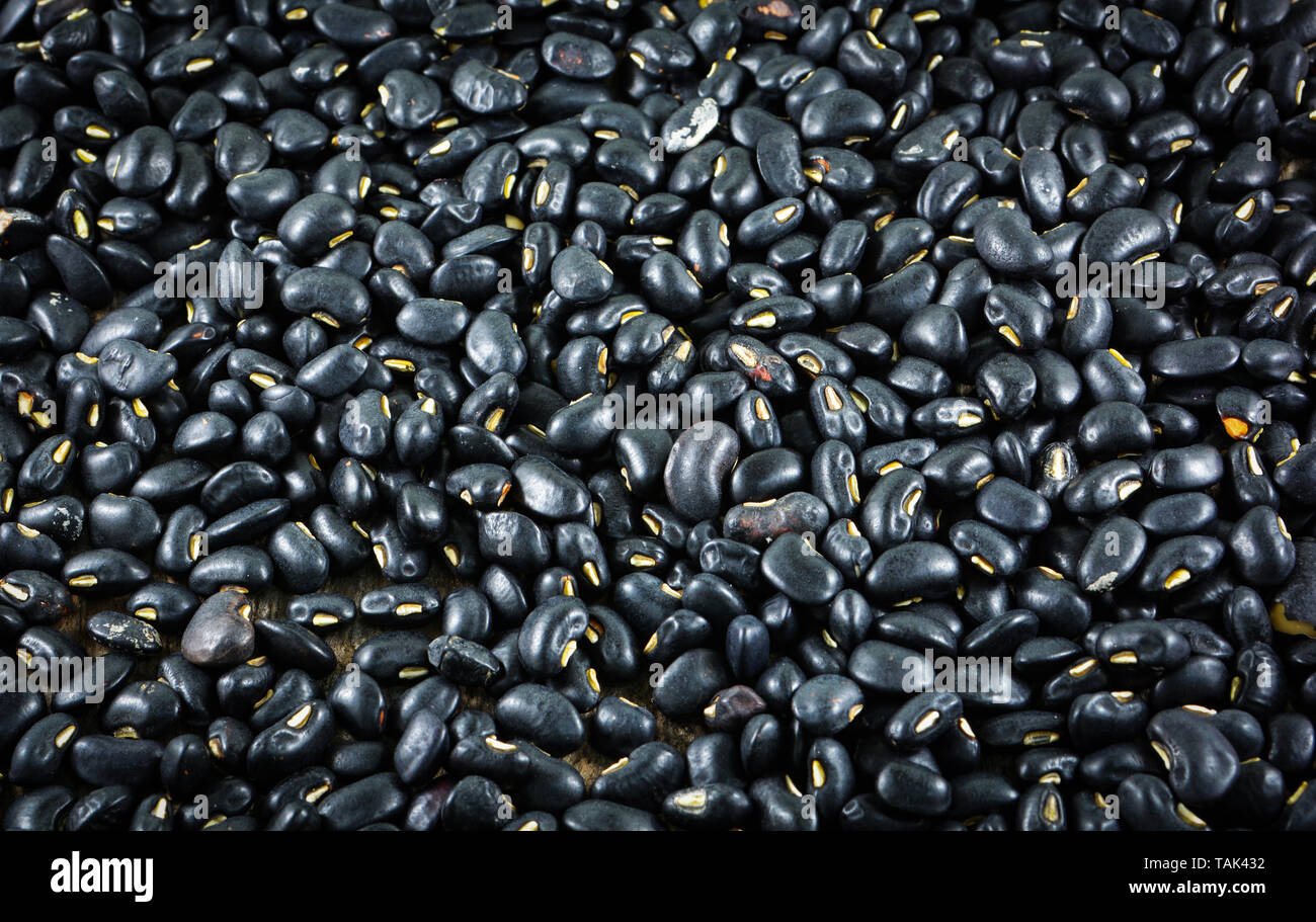 Black bean texture background grain seeds Stock Photo - Alamy