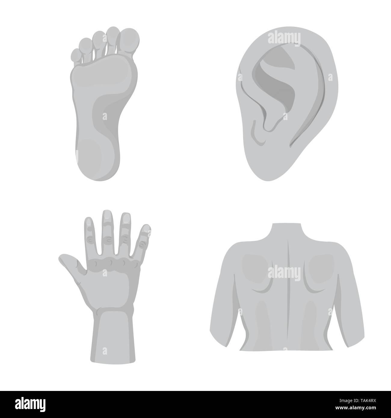 Isolated object of body and part sign. Collection of body and anatomy ...
