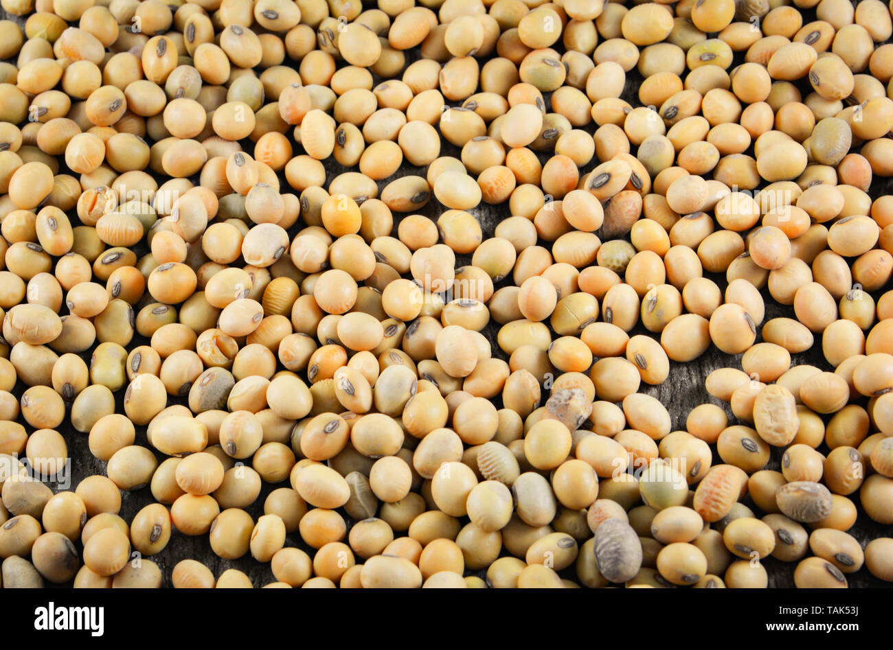 soybeans or soya beans grain seed on rustic wood background Stock Photo ...