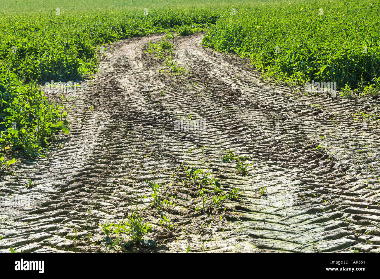Tyre tracks soil texture hi-res stock photography and images - Alamy