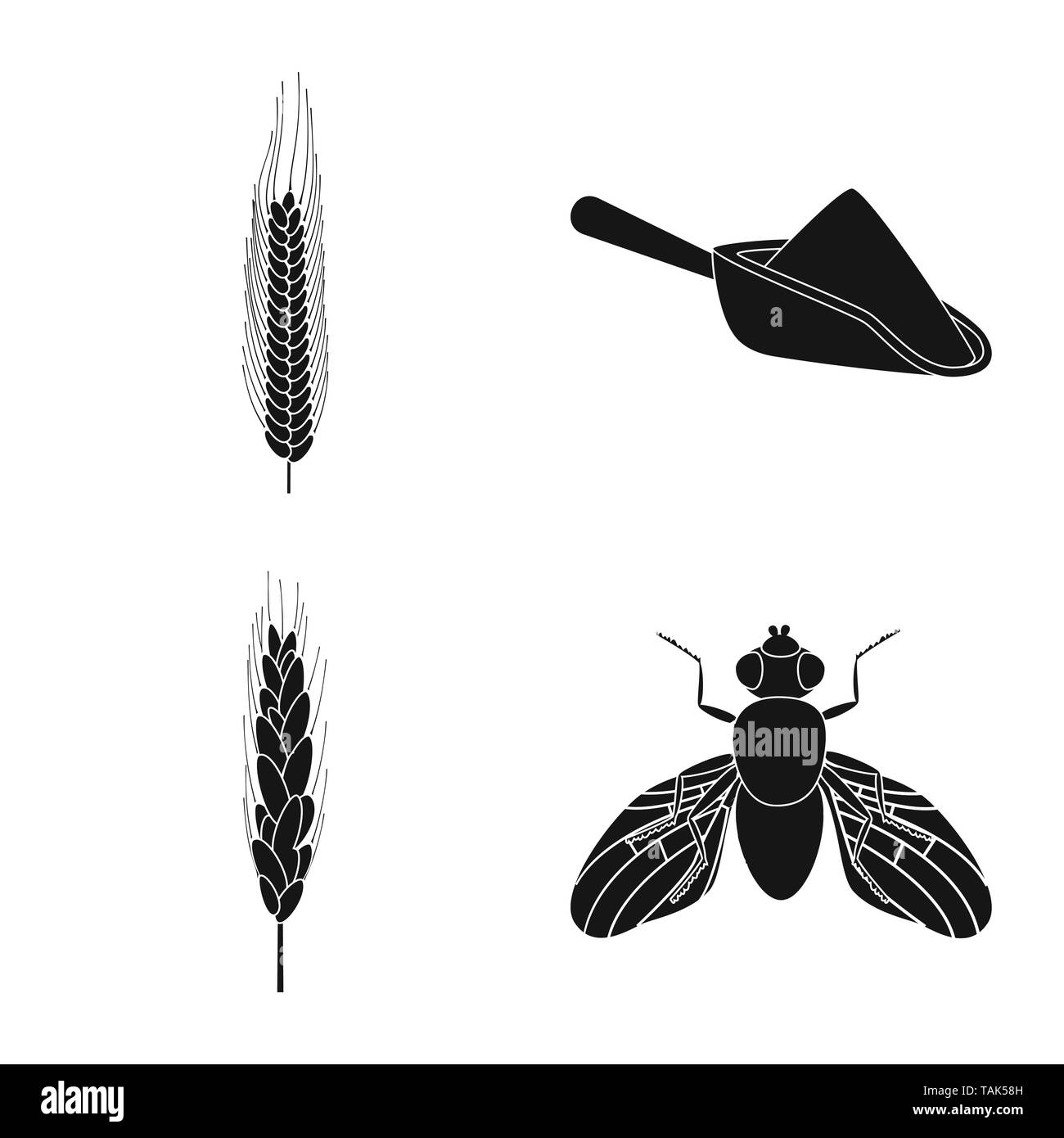 Isolated object of rye and plant logo. Collection of rye and corn stock ...