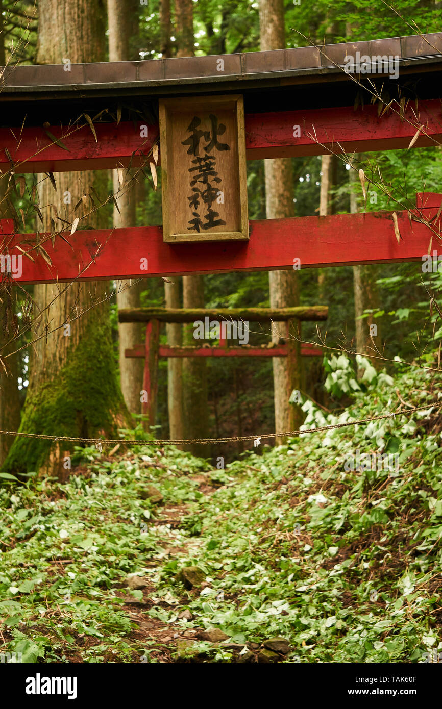 Old, worn vermilion torii shrine gate with sign reading 秋葉神社 (Akiba ...