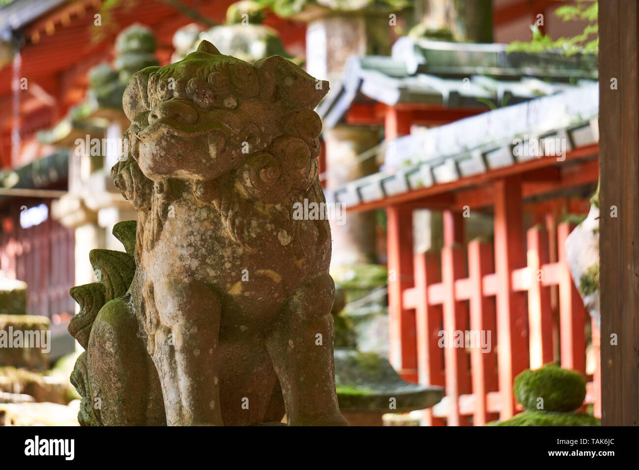 Stone Shishi guardian lion dog with red eyes, standing in front of ...