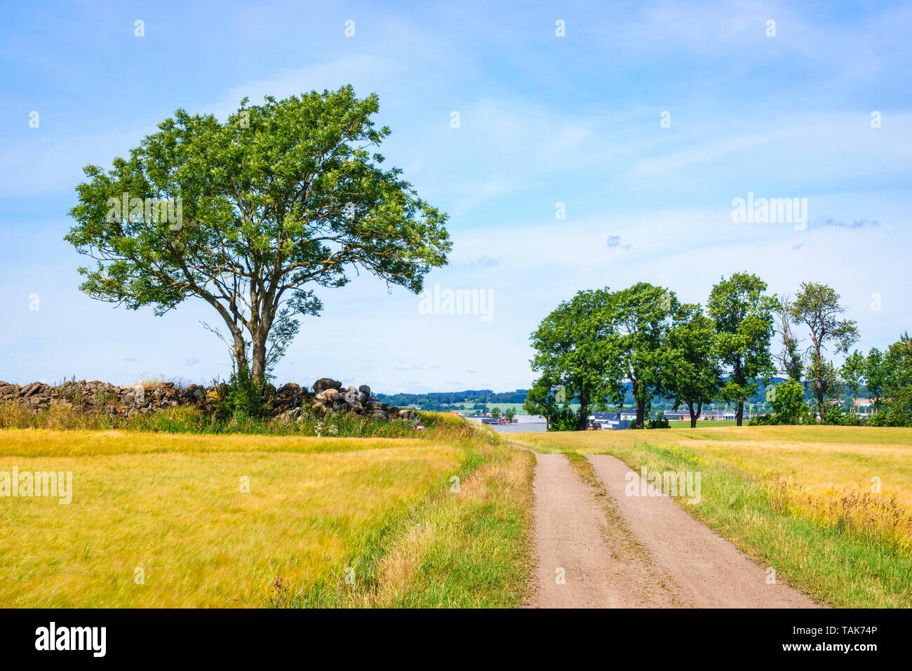 Wall of trees crops hi-res stock photography and images - Alamy