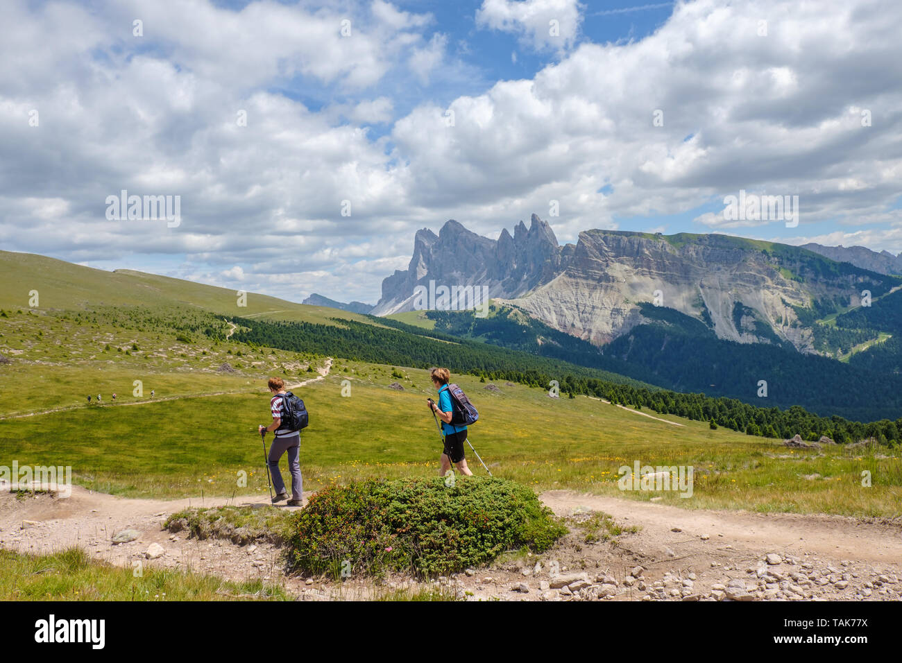 Hiking women alps hi-res stock photography and images - Alamy
