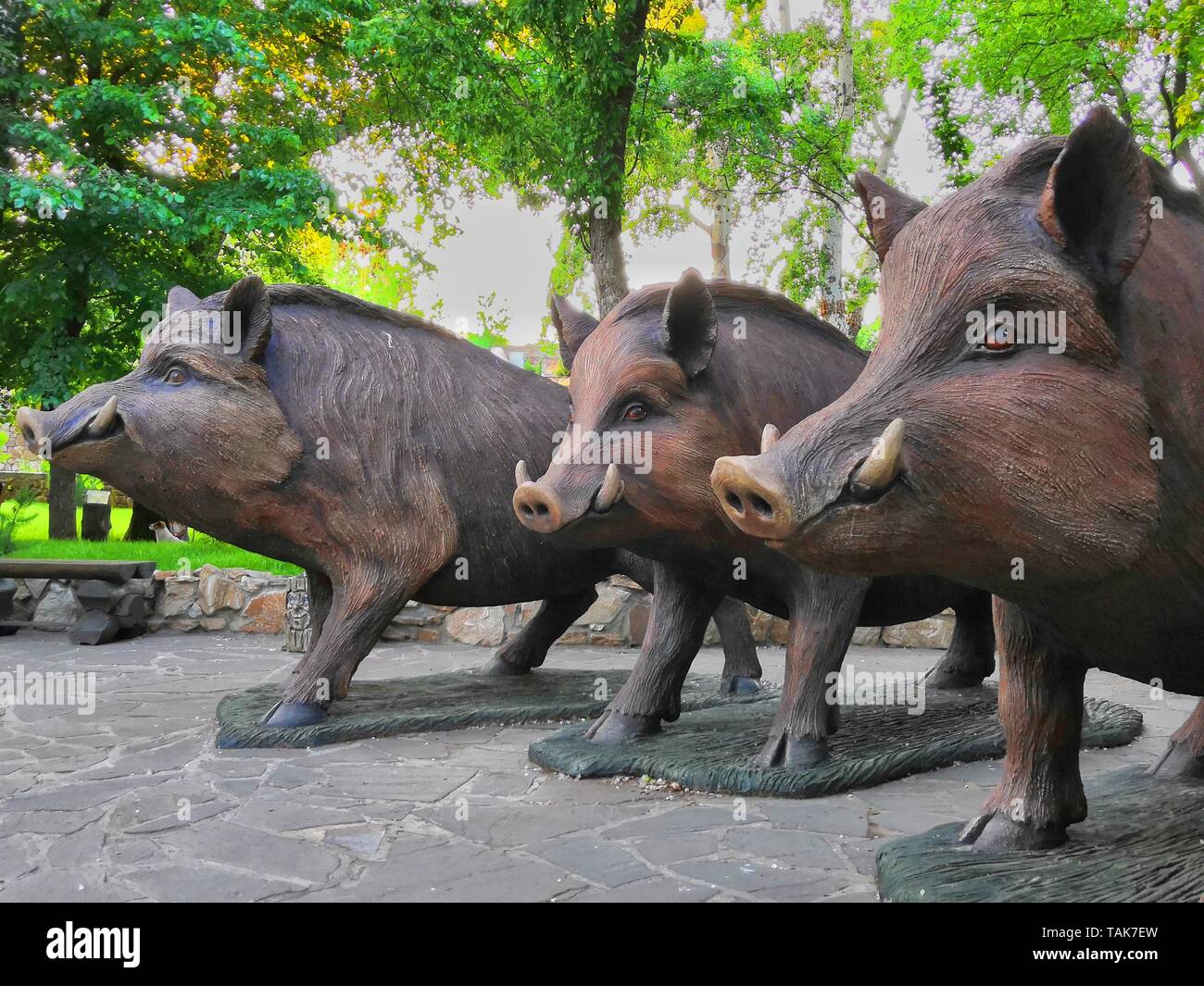 Portrait of three boars. Figures of 3 boars Stock Photo - Alamy