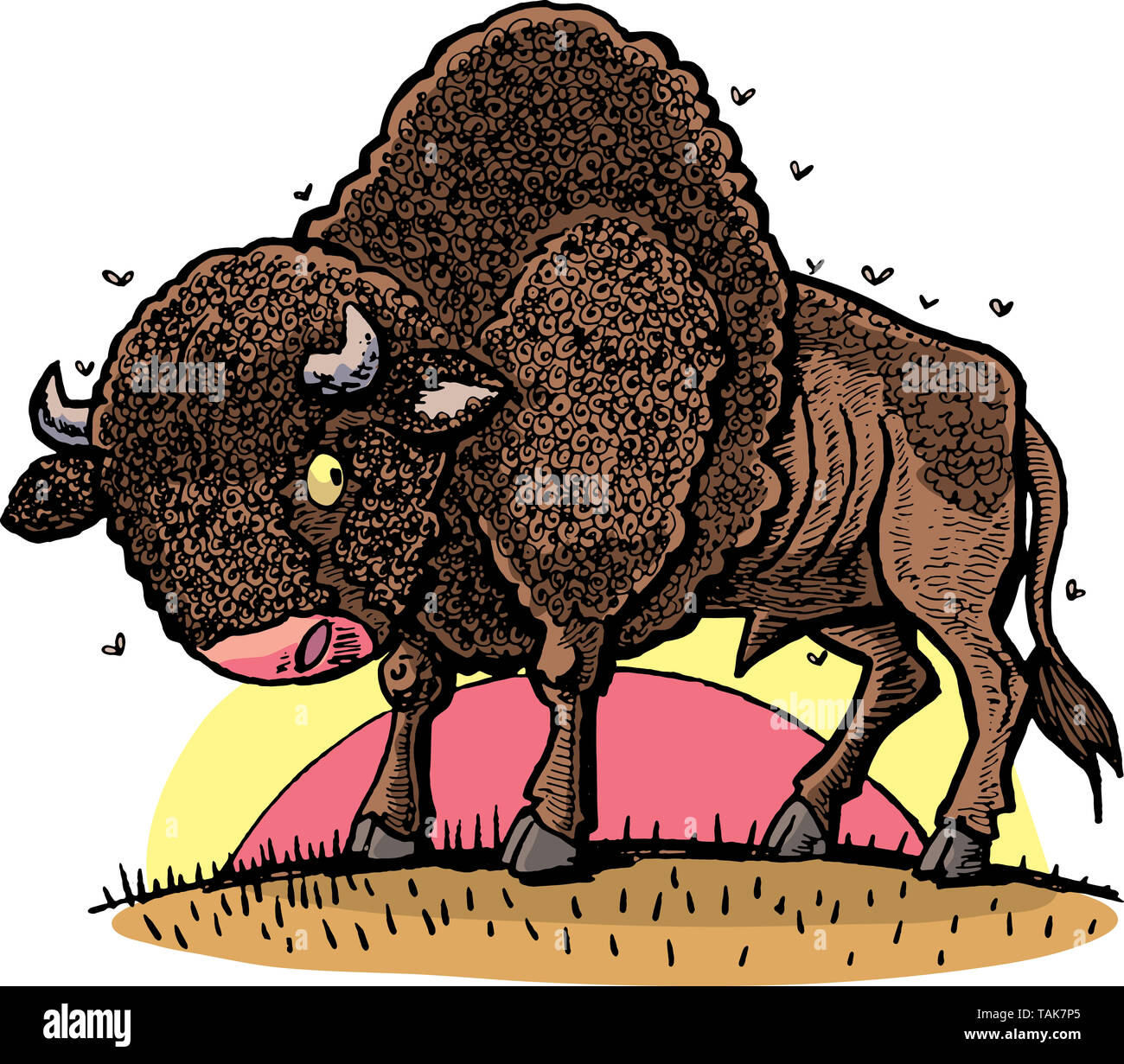 lonely bison in prairie Stock Photo - Alamy