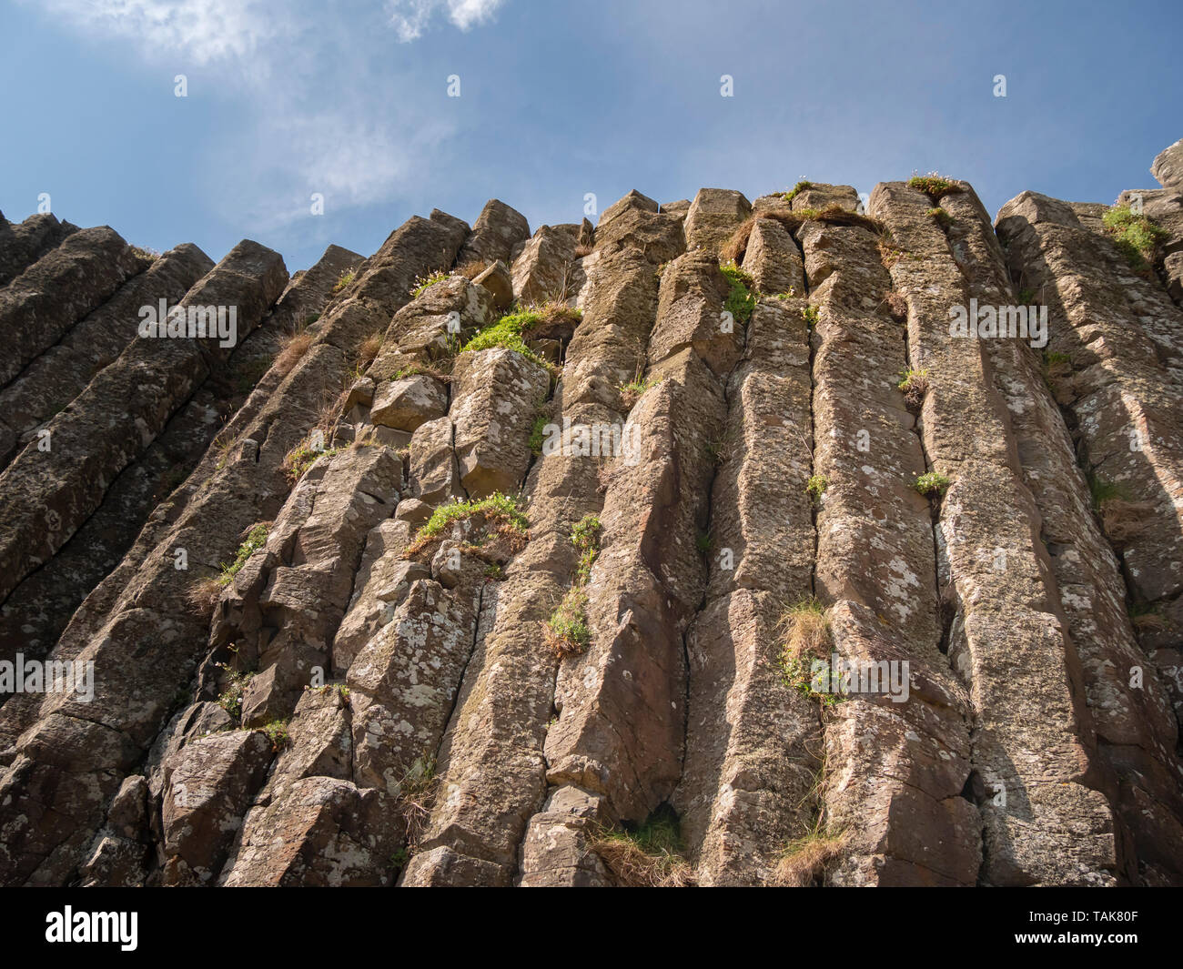 The typical rock formations of Giants Causeway in Northern Ireland ...