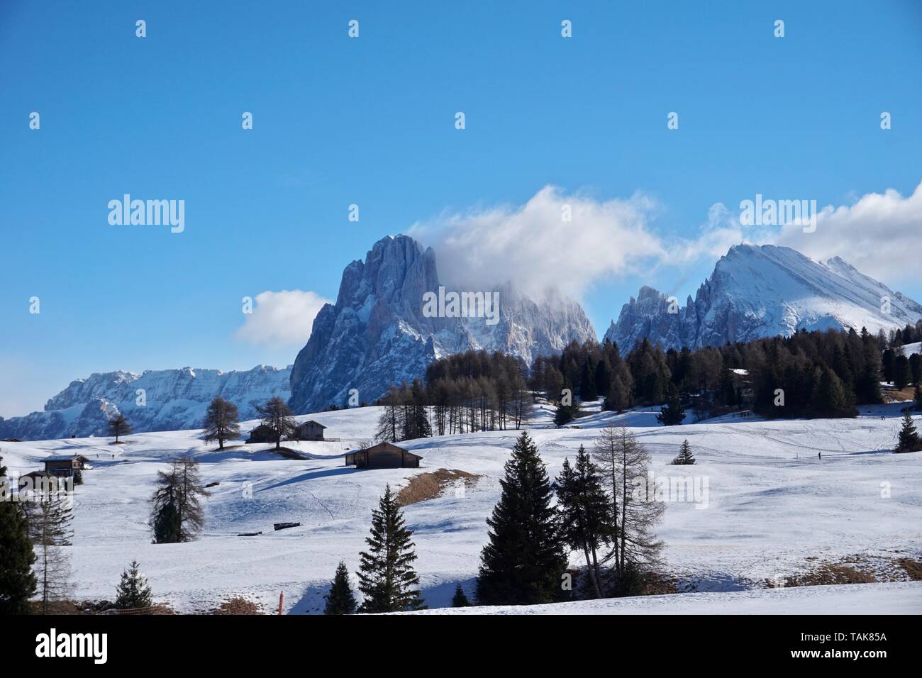 Alpe di Suisi Stock Photo - Alamy