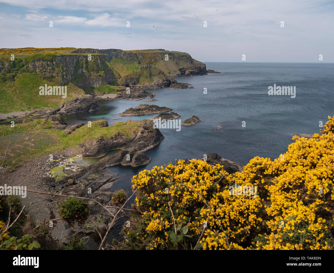 Amazing Causeway Coast in Northern Ireland on a sunny day - travel ...
