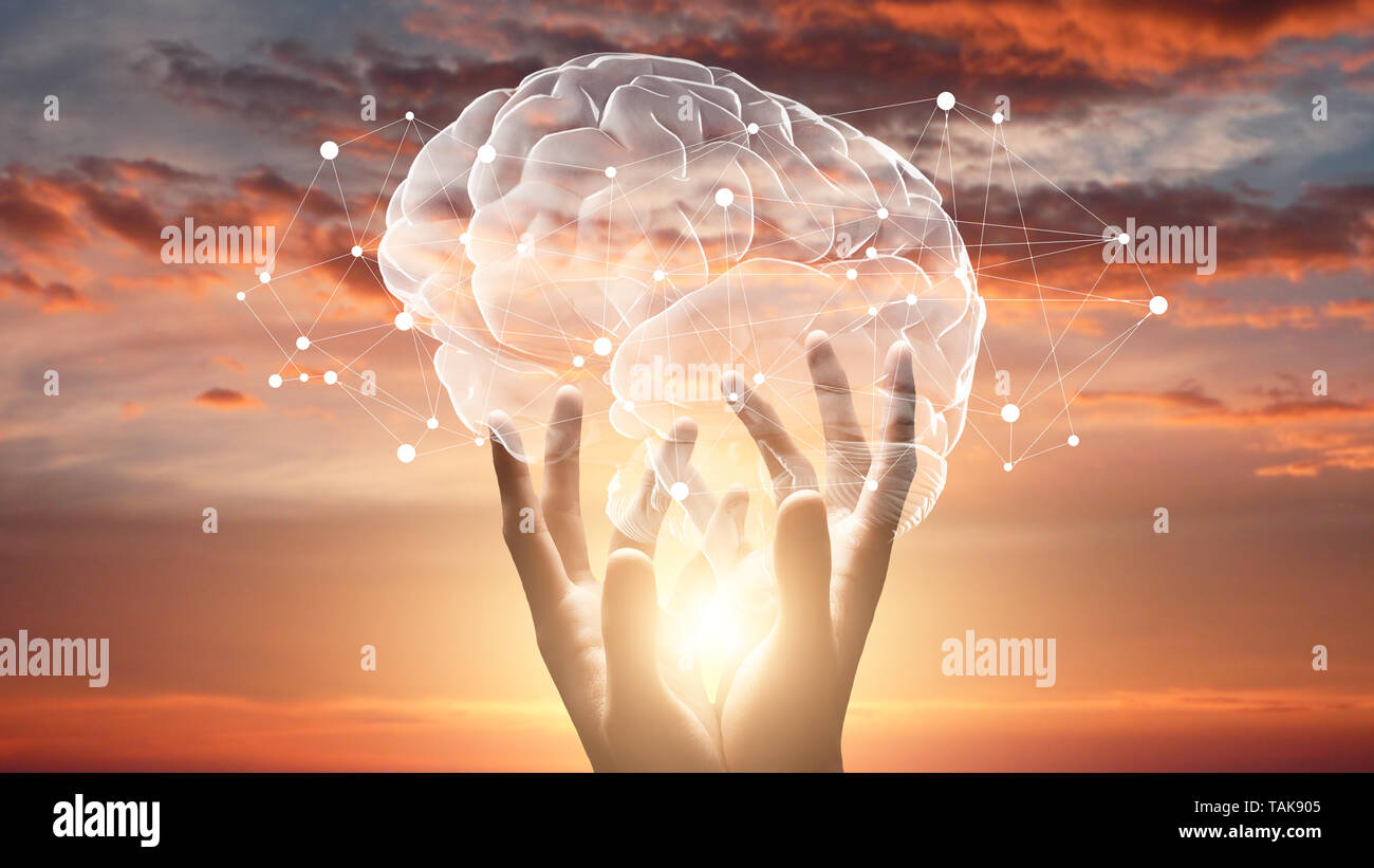 Human hands touching brain hi-res stock photography and images - Alamy