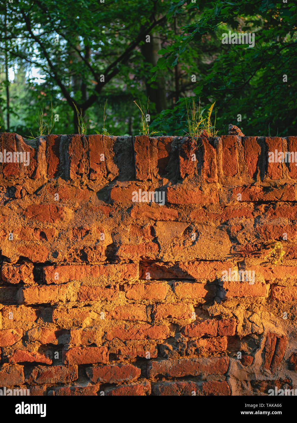 Old red grunge brick wall background during sunset Stock Photo - Alamy