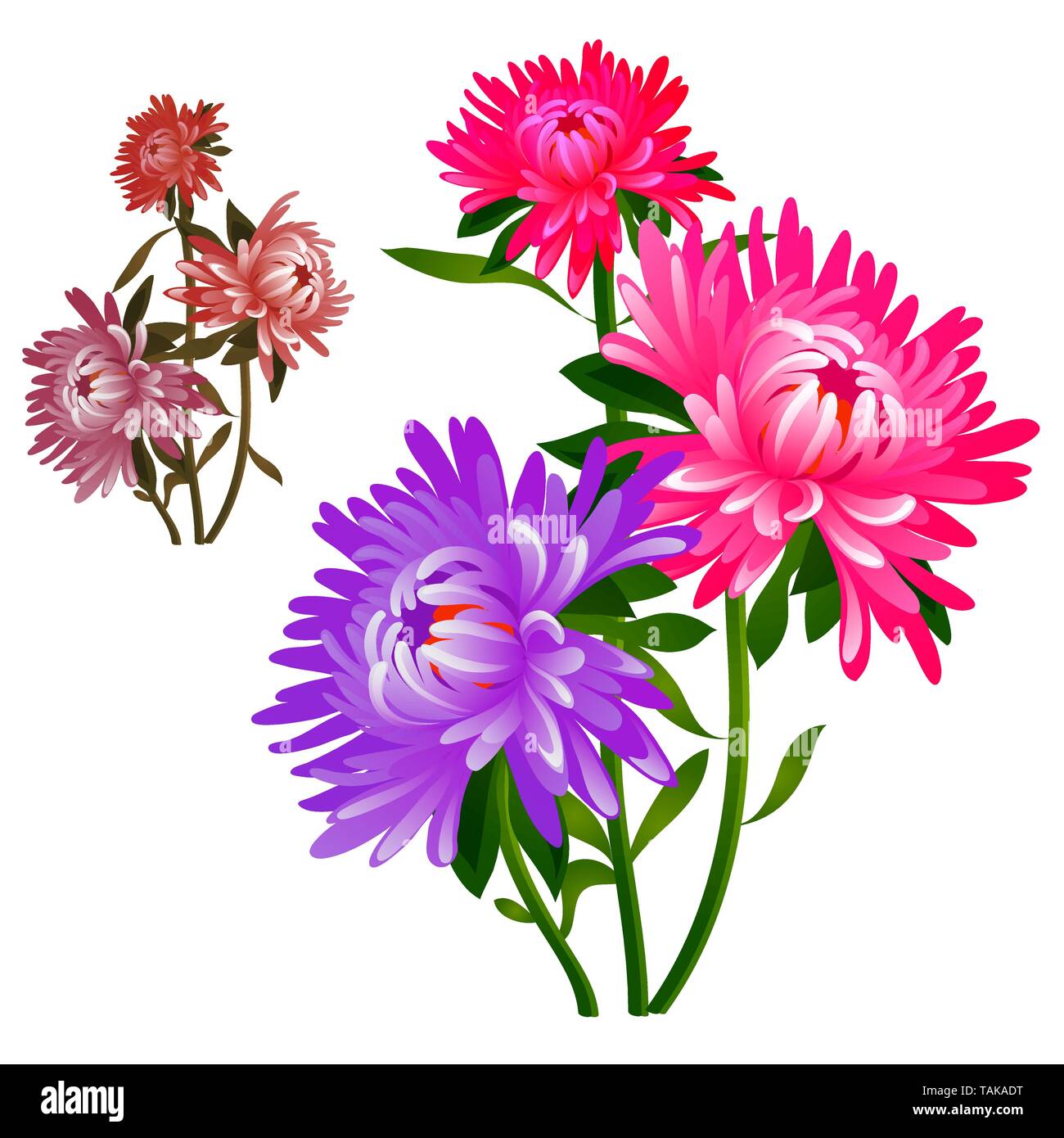 Bouquet of flowers pink and purple asters isolated on white background ...