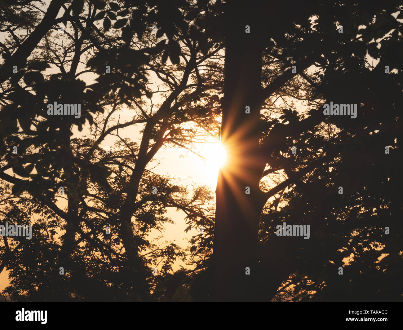 Sun star aperture black hi-res stock photography and images - Alamy