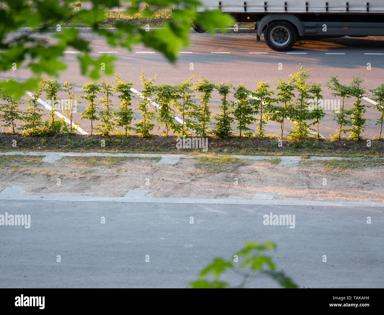 Hedge trimming road hi-res stock photography and images - Alamy