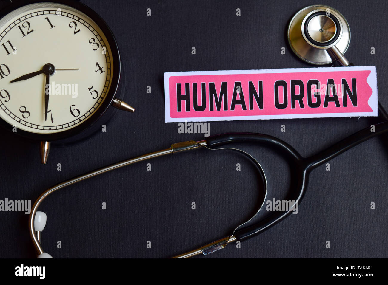 Human Organ on the paper with Healthcare Concept Inspiration. alarm ...