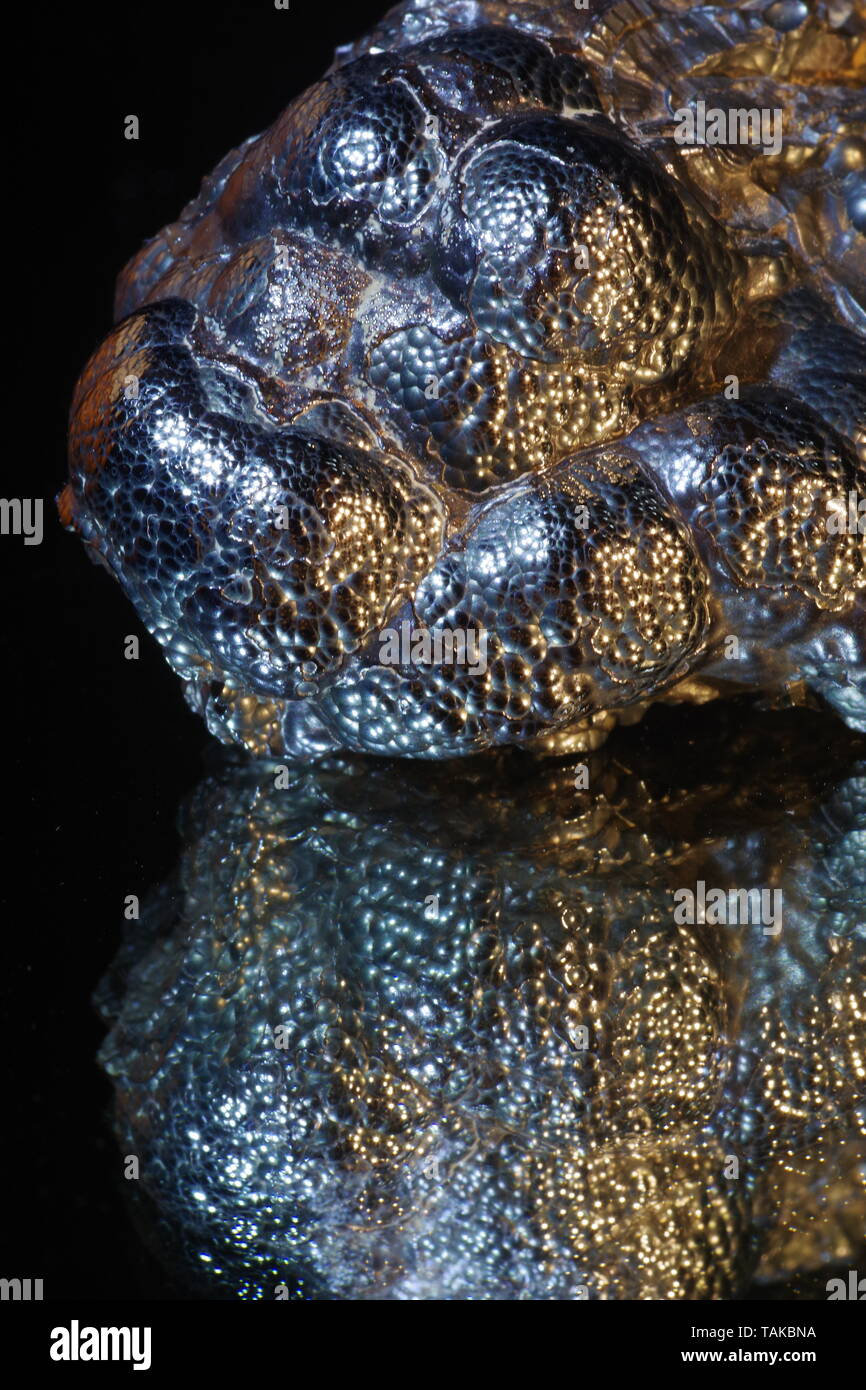 Macro of Hematite Iron Ore Rock. Geological Sample Stock Photo - Alamy