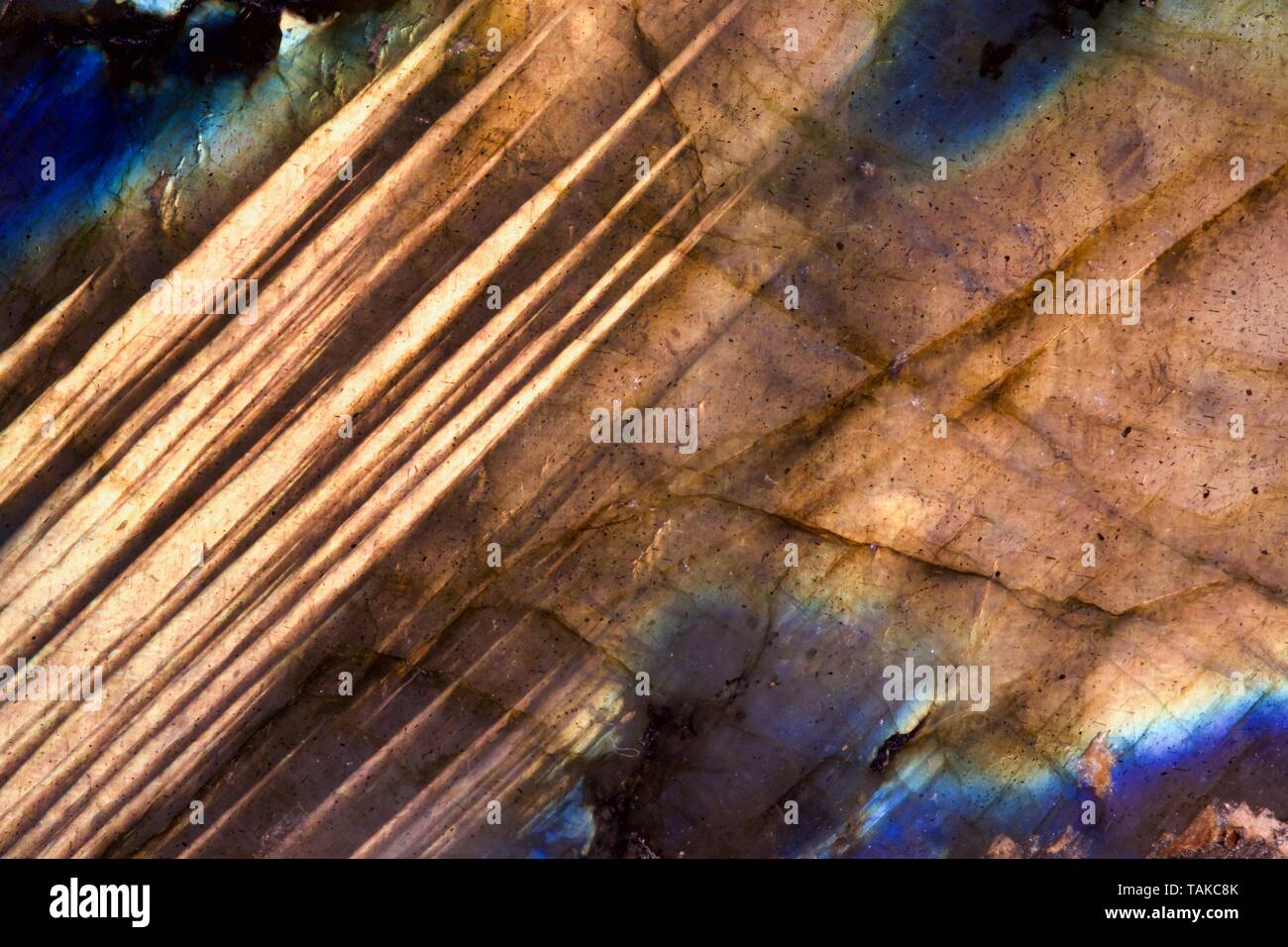 Colourful Natural Background of a Labradorite Crystal Displaying ...