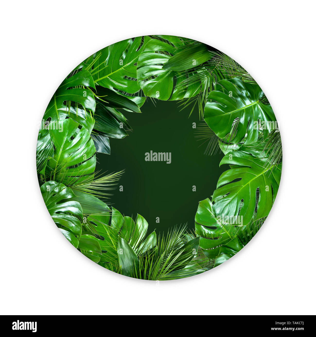Tropical jungle plant leafs circle shape with empty dark green center ...