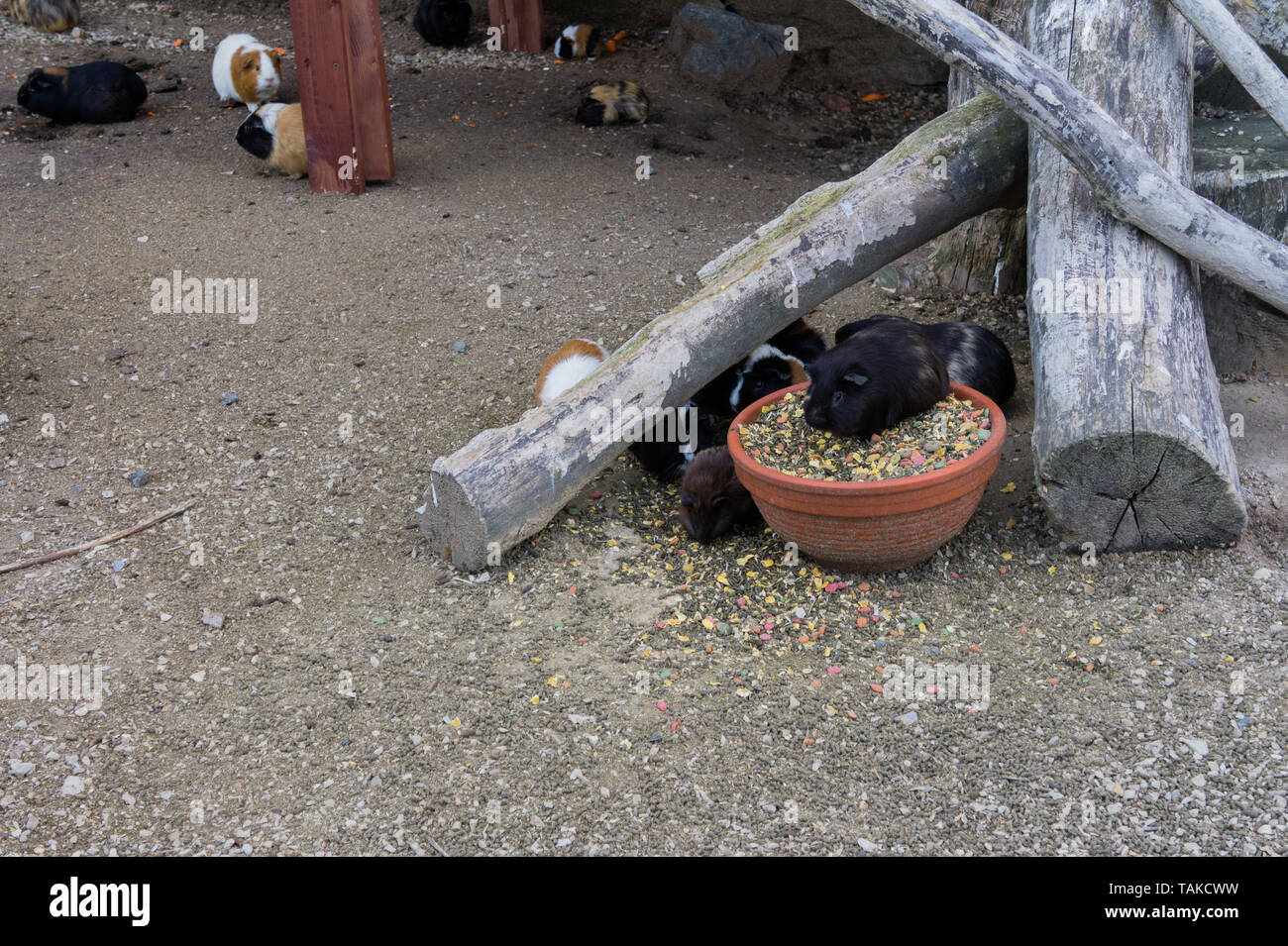 Wide view wooden farm hi-res stock photography and images - Alamy