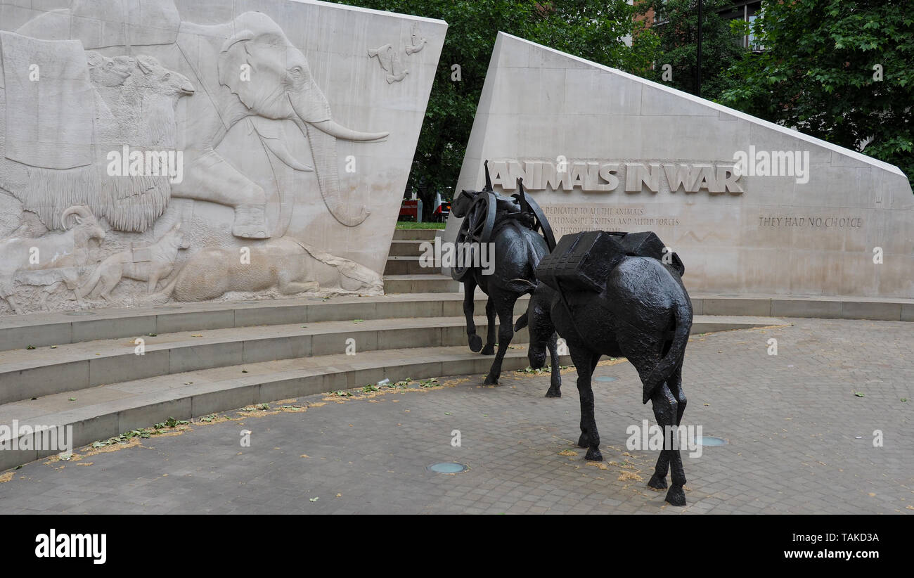 Animals in War Memorial Stock Photo - Alamy